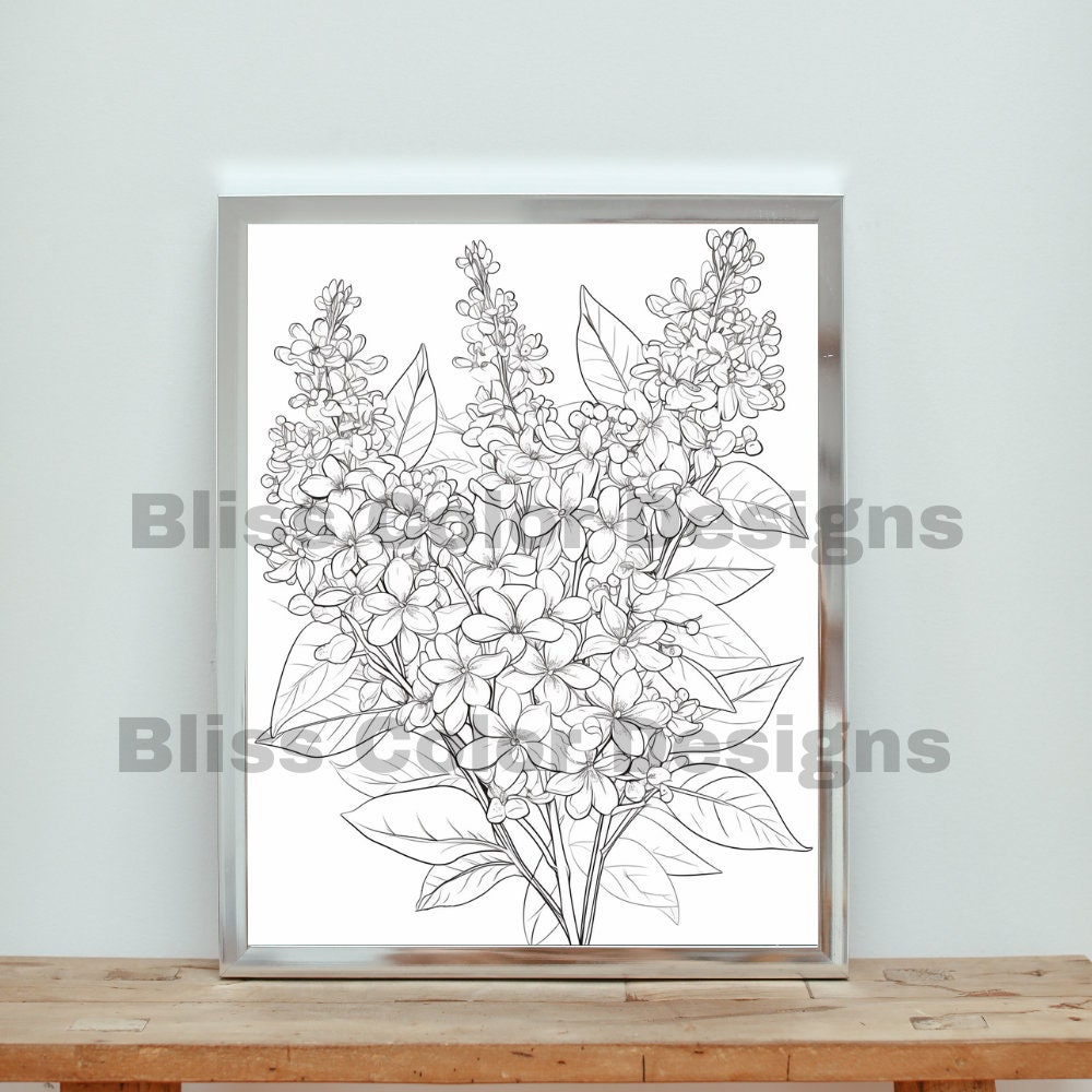 20 Simple Realistic Lilacs Coloring Pages Digital PDF/PNG - Etsy