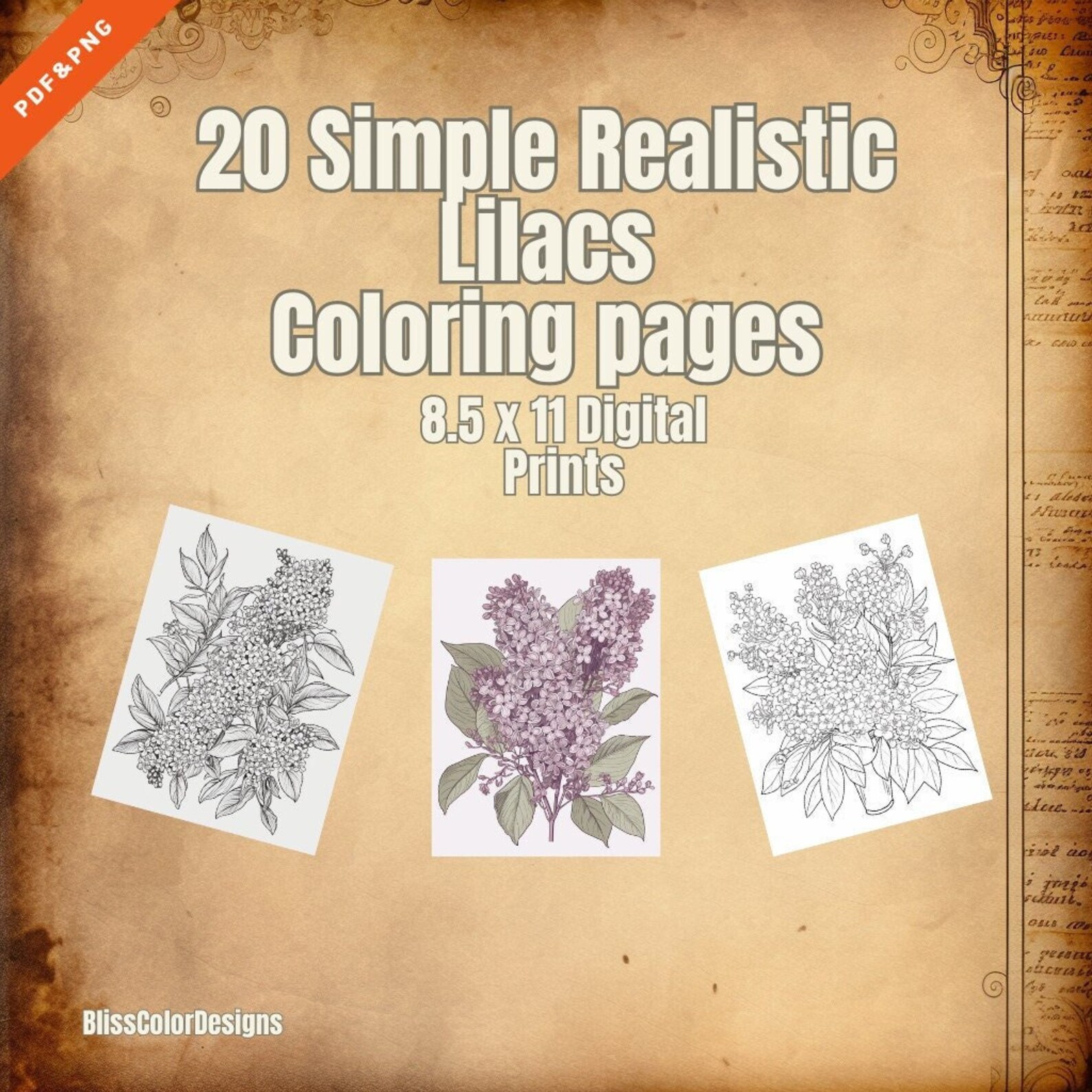 20 Simple Realistic Lilacs Coloring Pages Digital PDF/PNG - Etsy