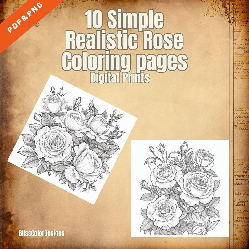 10 Simple Realistic Rose Coloring Pages Digital PDF/PNG - Etsy