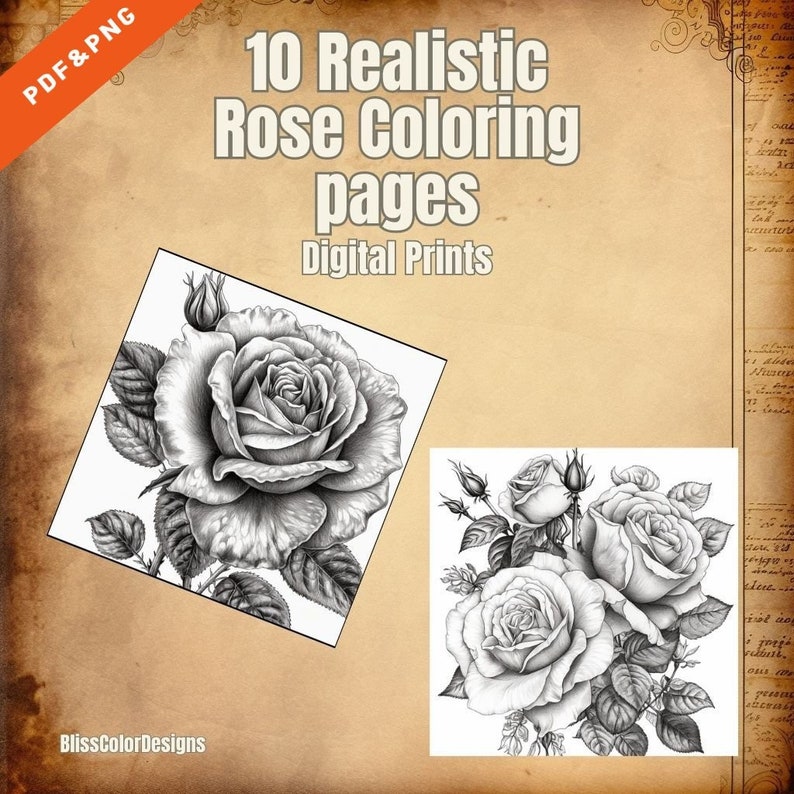 10 Realistic Rose Coloring Pages Digital PDF/PNG - Etsy