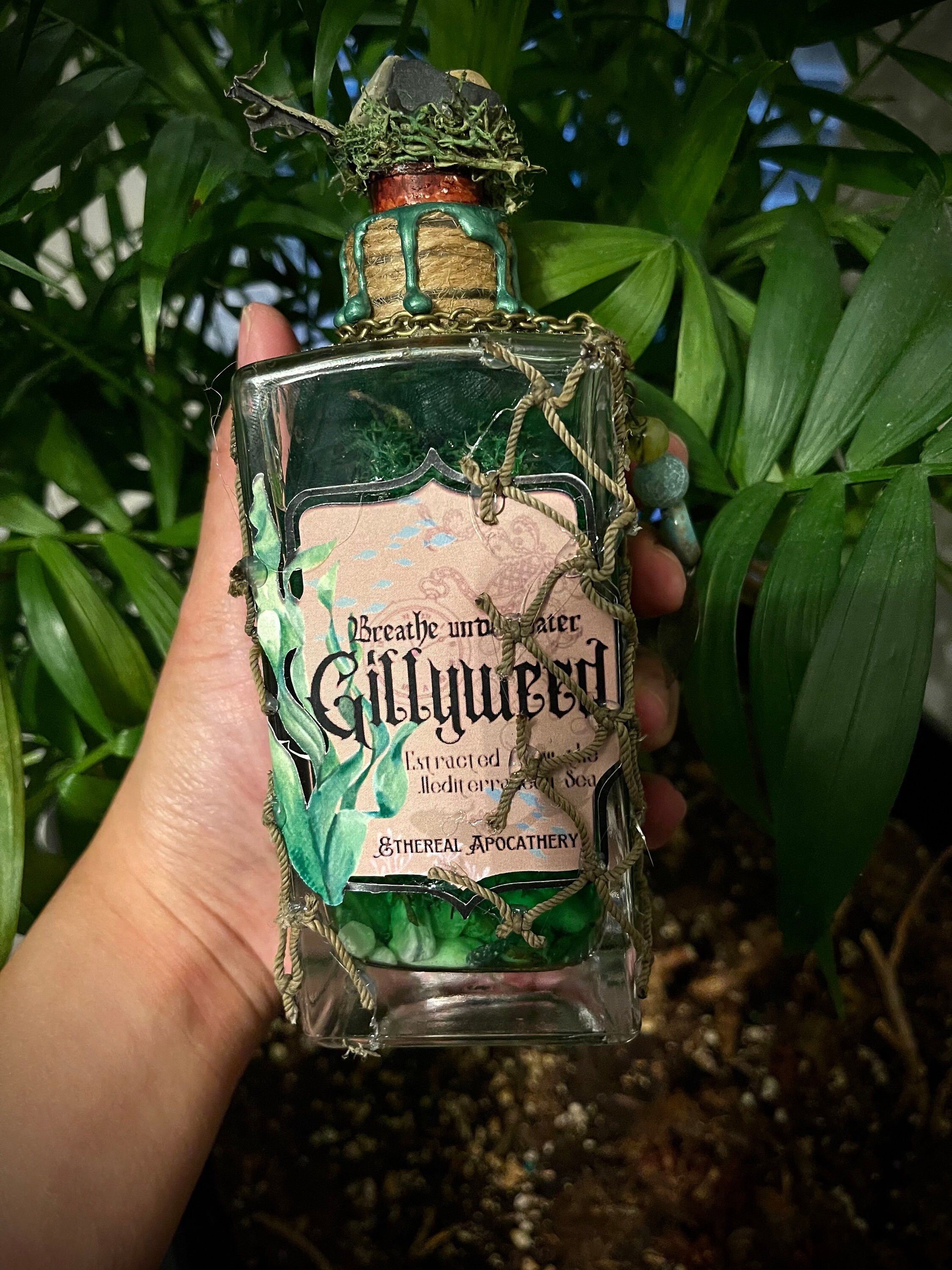 Gillyweed Herbology Potion - Etsy