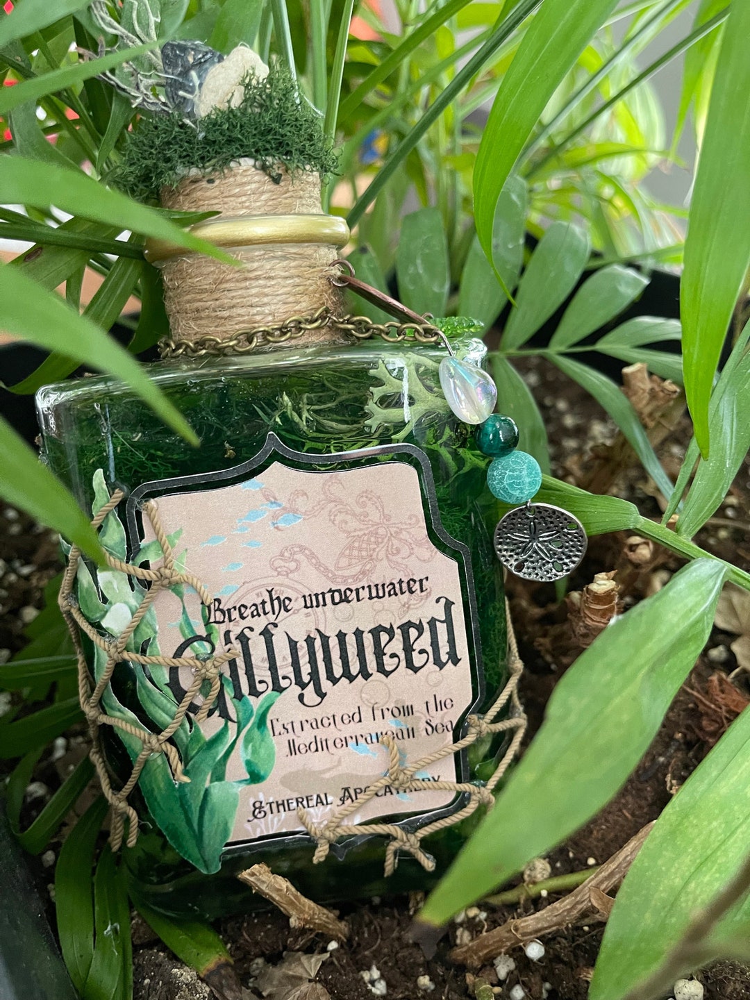 Gillyweed Herbology Potion - Etsy