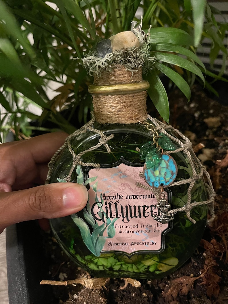 Gillyweed Herbology Potion - Etsy