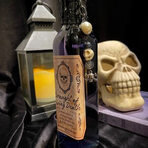 Draught of Living Death Potion - Etsy