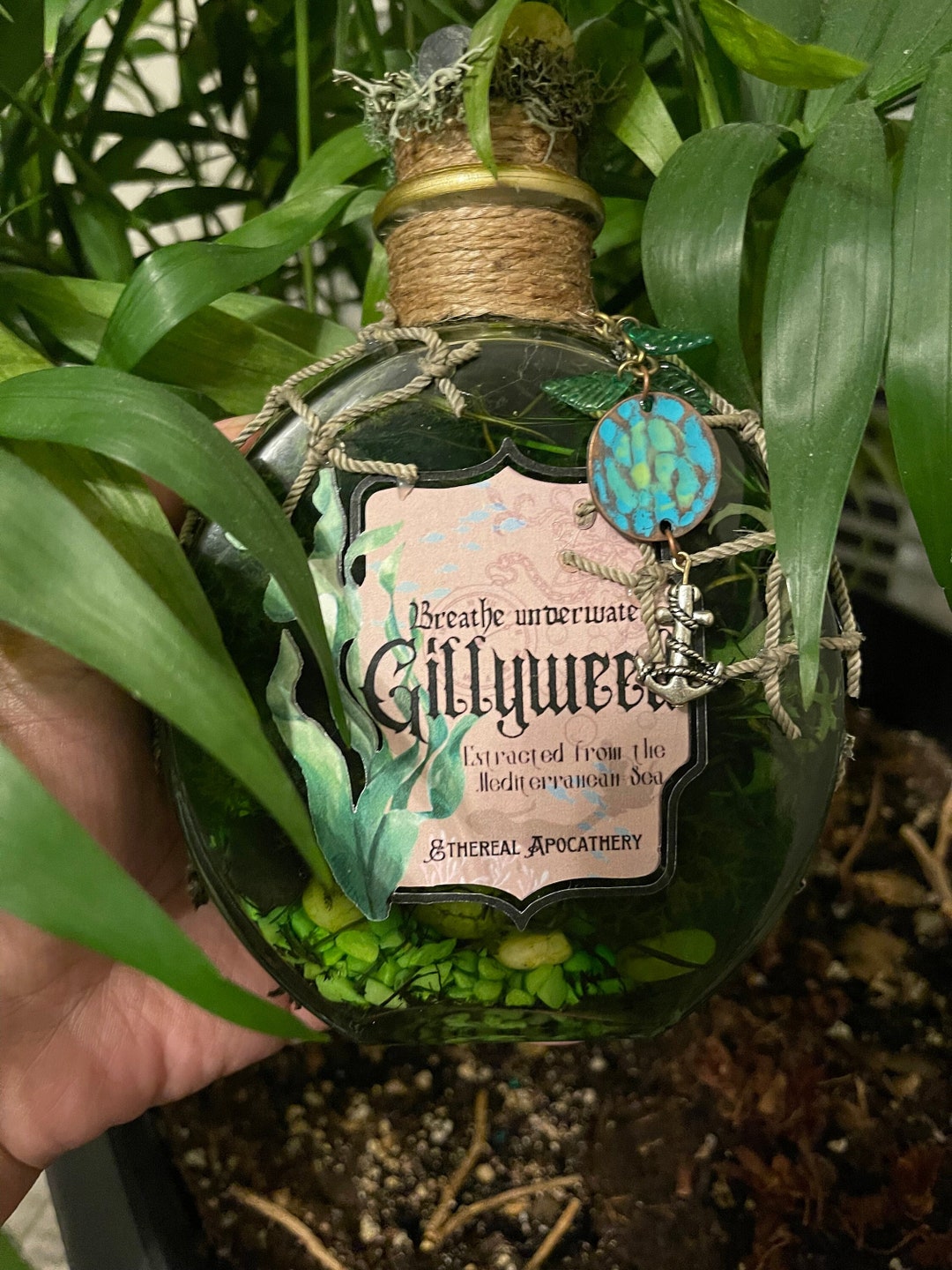 Gillyweed Herbology Potion - Etsy