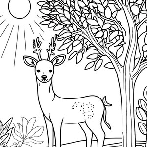 Animal Summer Coloring Pages for Kids, Animal Coloring Pages for Kids ...
