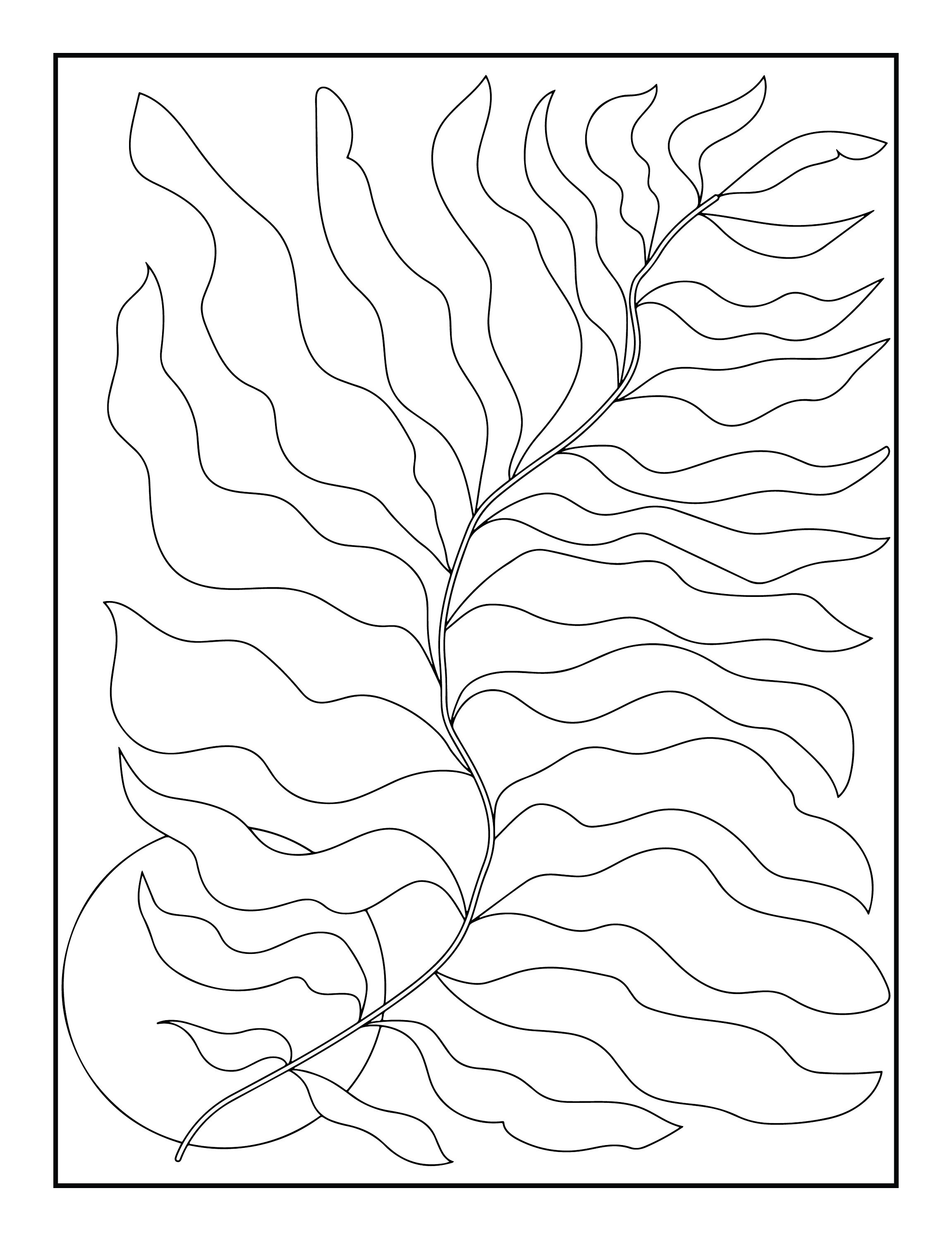 Minimalist Coloring Pages, Minimalist Coloring Pages for All Ages ...