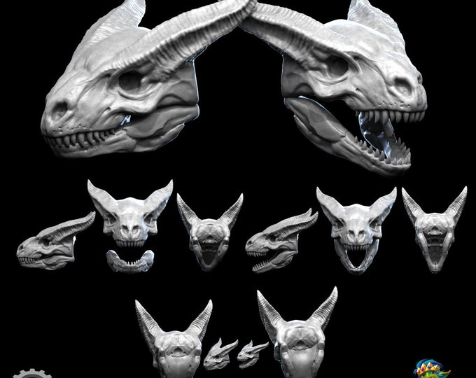 Eastern Dragon Skeleton, Curiosity Cabinet - Etsy