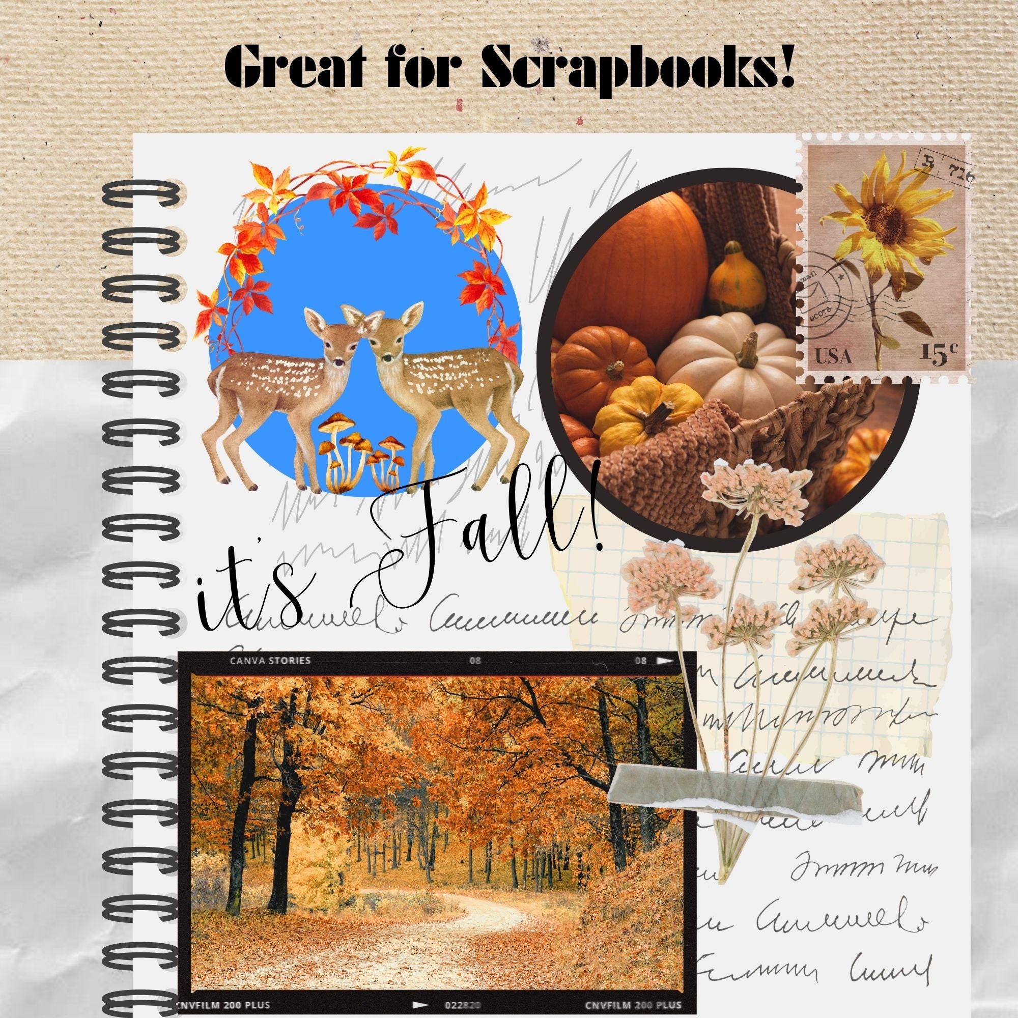 Deer Clipart - Leaf Clipart - Cute Mushrooms - Forest Animals - Fall ...