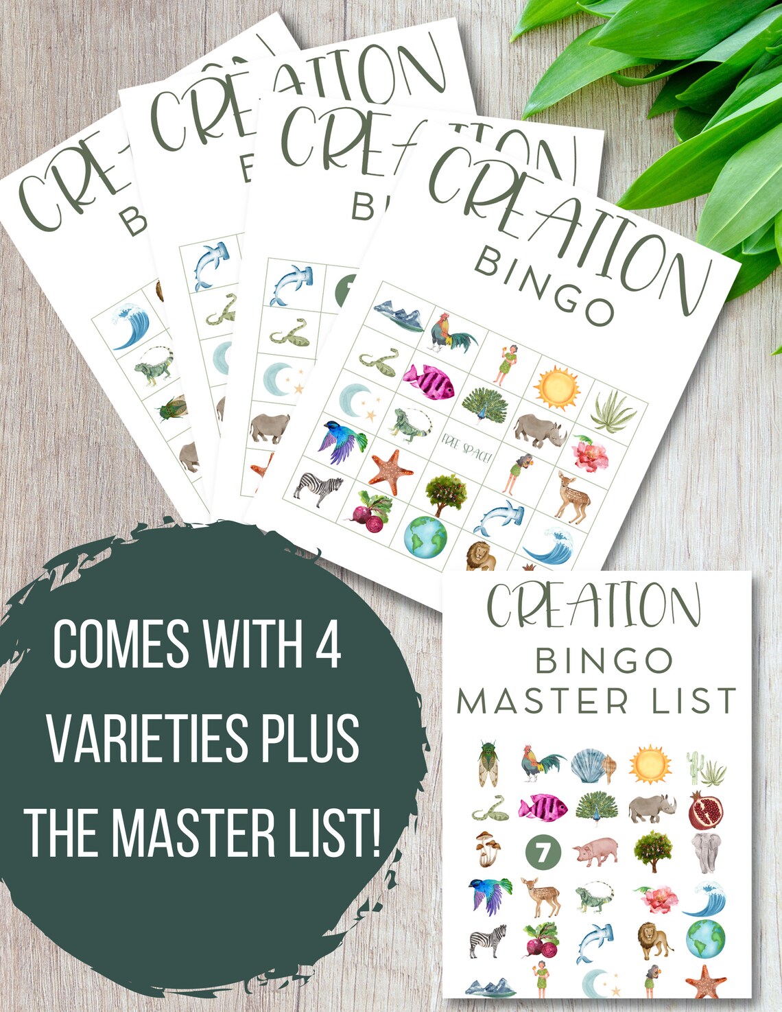 CREATION BINGO for Sunday School, Vbs, or Kids at Home, Bible Story ...