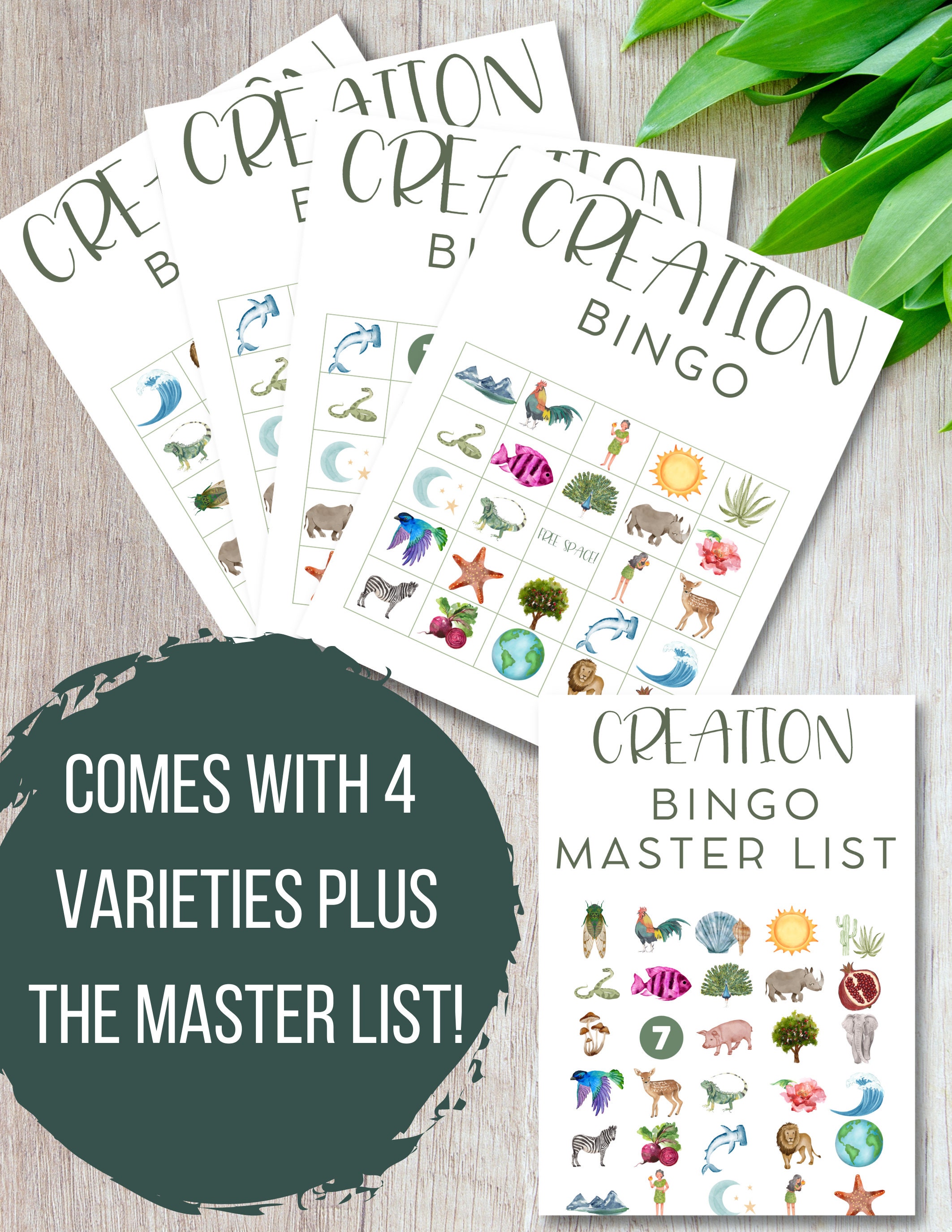 CREATION BINGO for Sunday School, Vbs, or Kids at Home, Bible Story ...