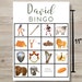 DAVID BINGO SET, Bible Stories for Kids, Church Activities for Vbs or ...