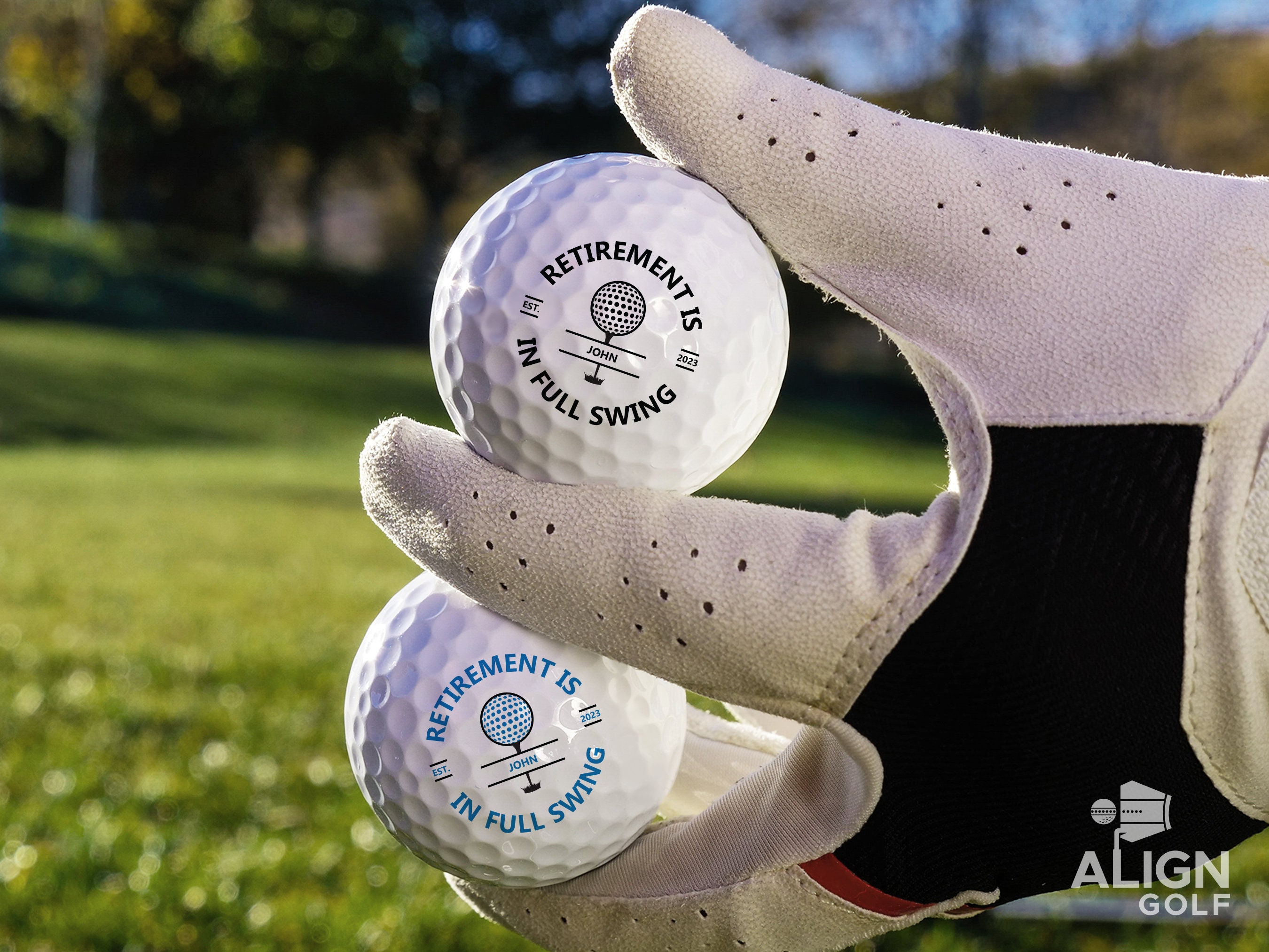 Retirement Gift Custom Golf Balls Personalized Gift Gifts for Him ...