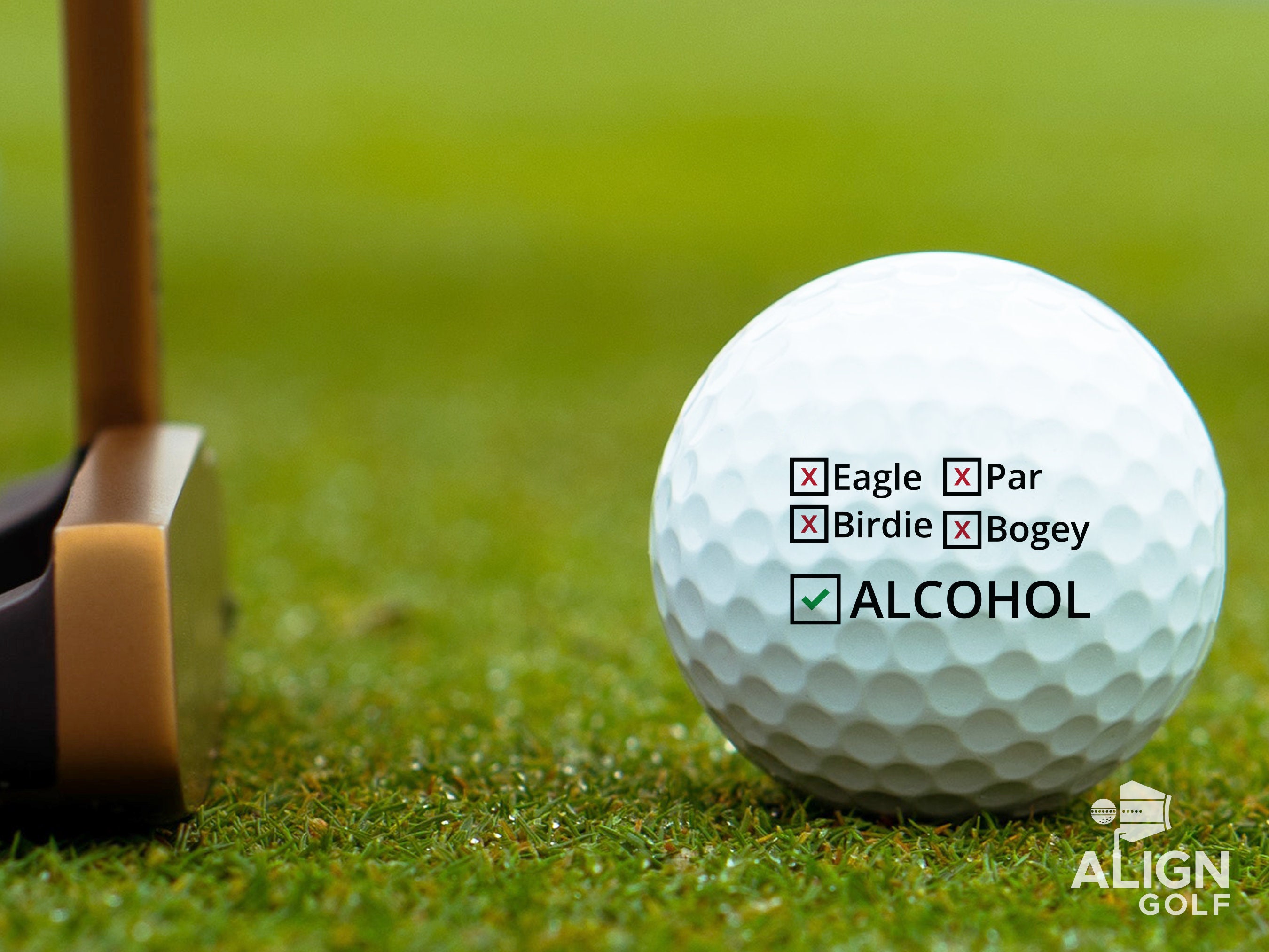 Humorous Golf Gift Golf Ball Gift Customized Golf Ball Humor Golf Gift ...