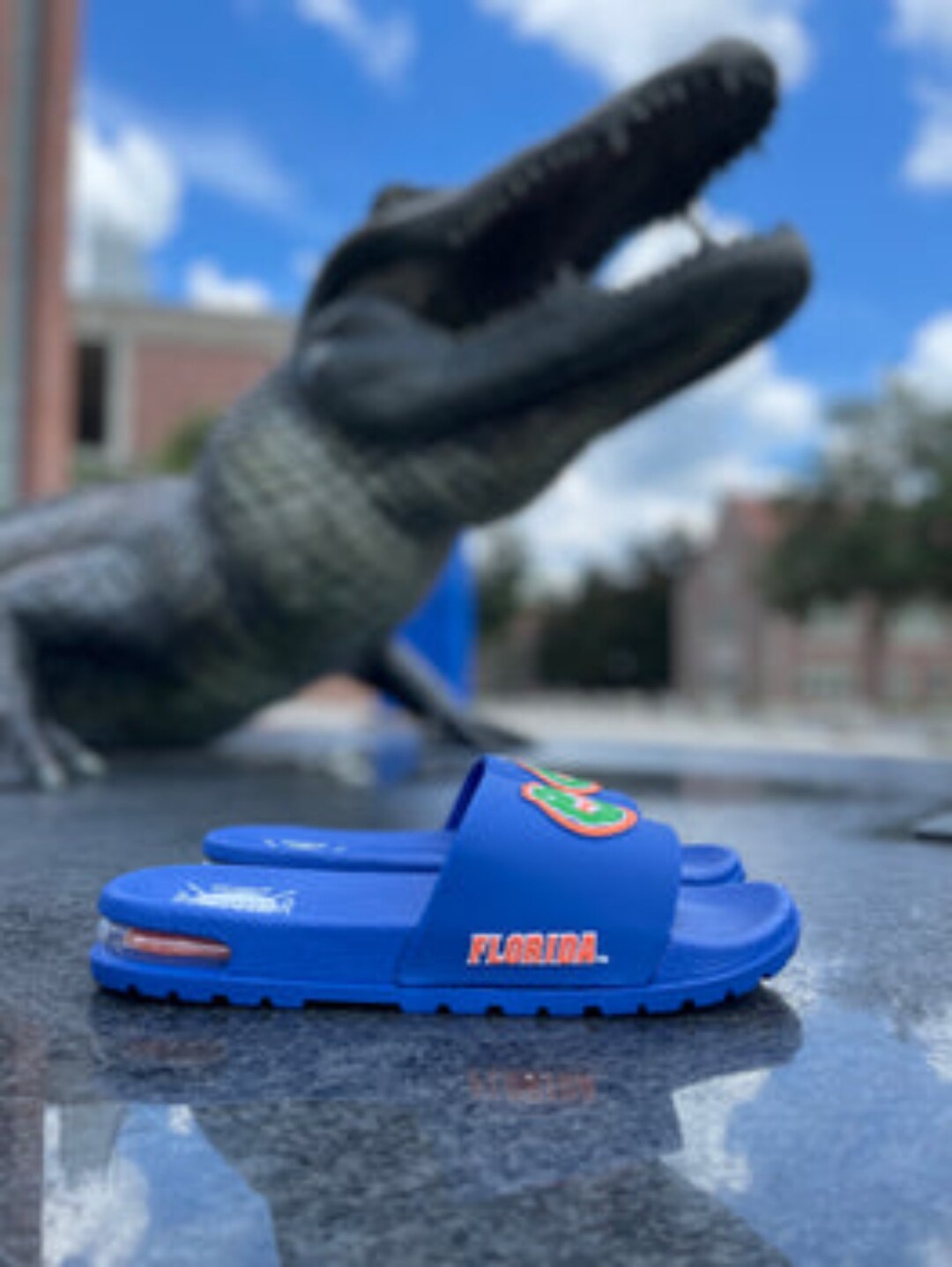 University of Florida Air Gators Slides | Lightweight Slides Game Day ...