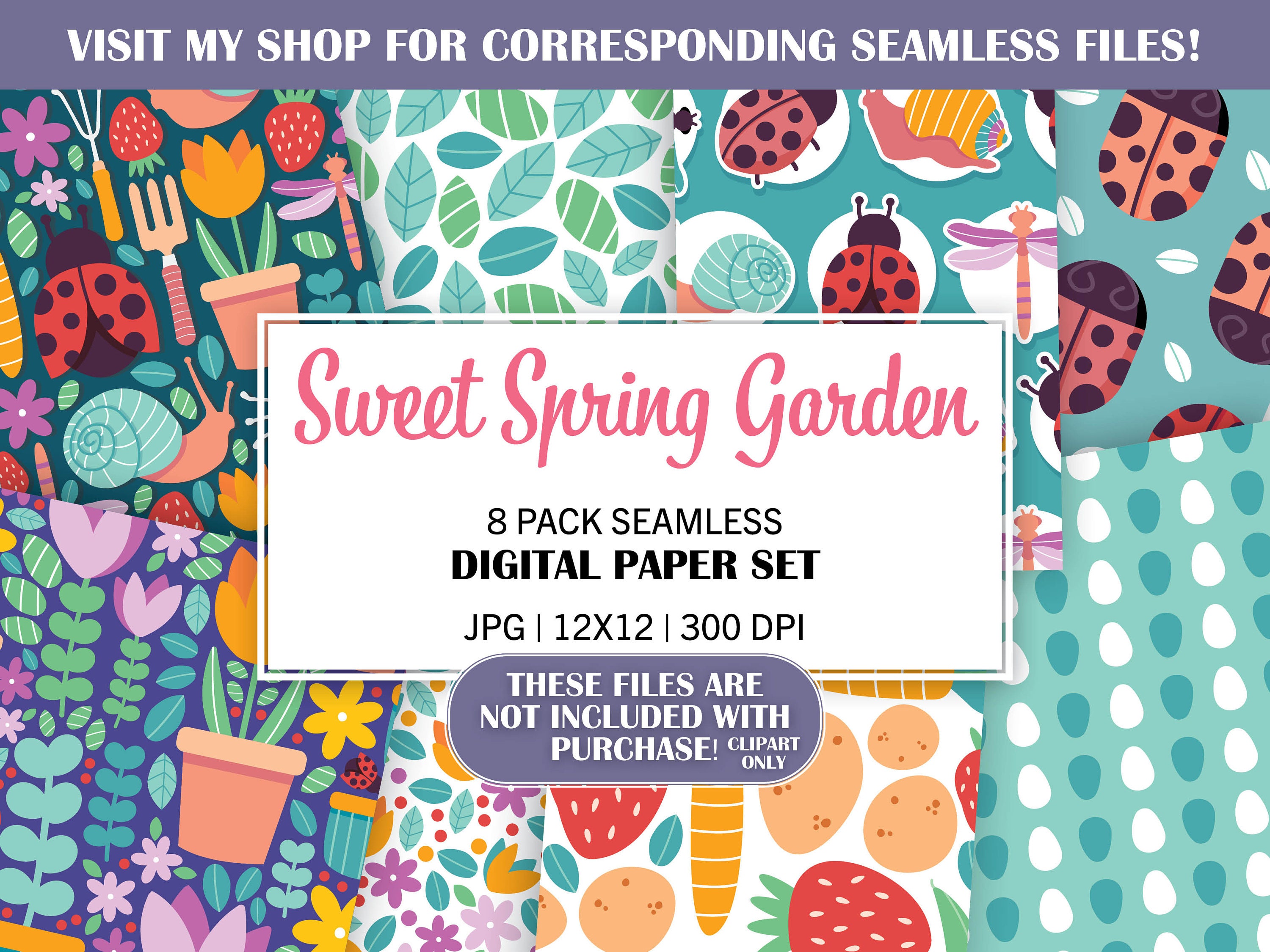 Honey Bee Clipart Bundle, Spring Clipart for First Bee Day, Bumble Bee ...