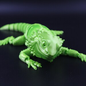 Articulated Flexible Bearded Dragon, Matmire Makes Authorized Reseller ...