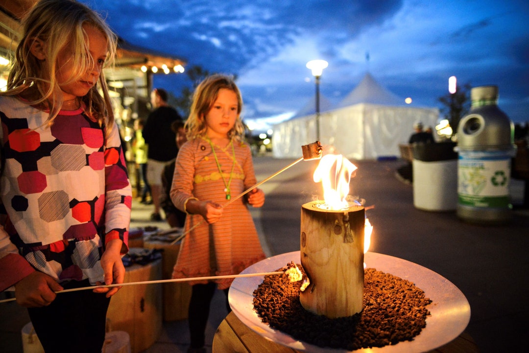 Original Onelogfire 2-pack Fire Log Set, Campfire Log, Mini Firewood ...