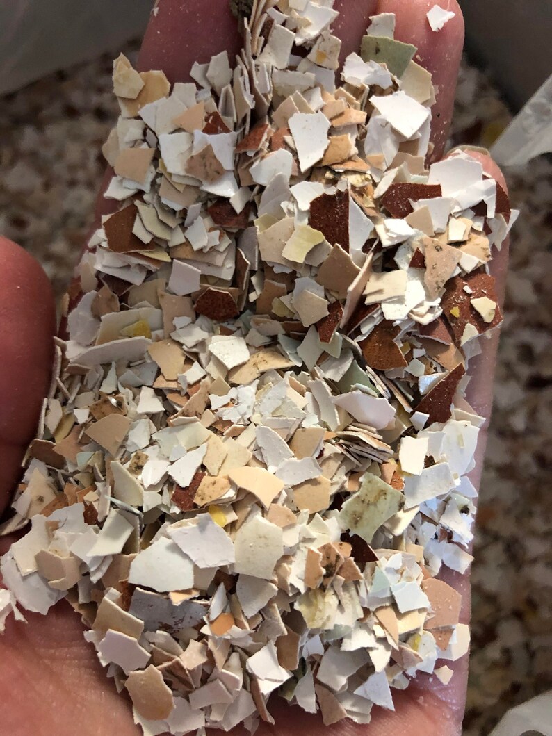 10# Bulk Crushed Egg Shells Garden Houseplant Lawn Calcium Fertilizer ...