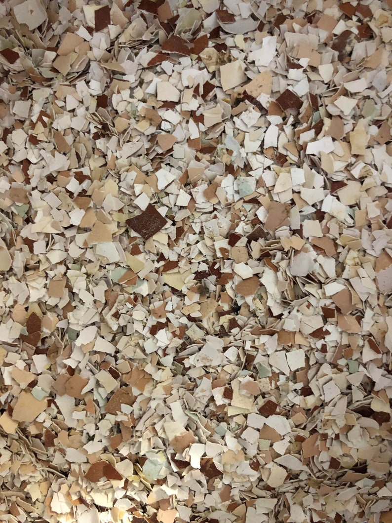 10 Bulk Crushed Egg Shells Garden Houseplant Lawn Calcium Fertilizer