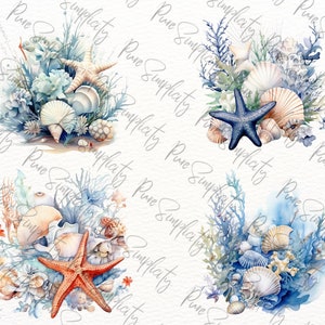 Watercolour Seashell Clipart 24 PNG Format Watercolour Clipart Seashell ...