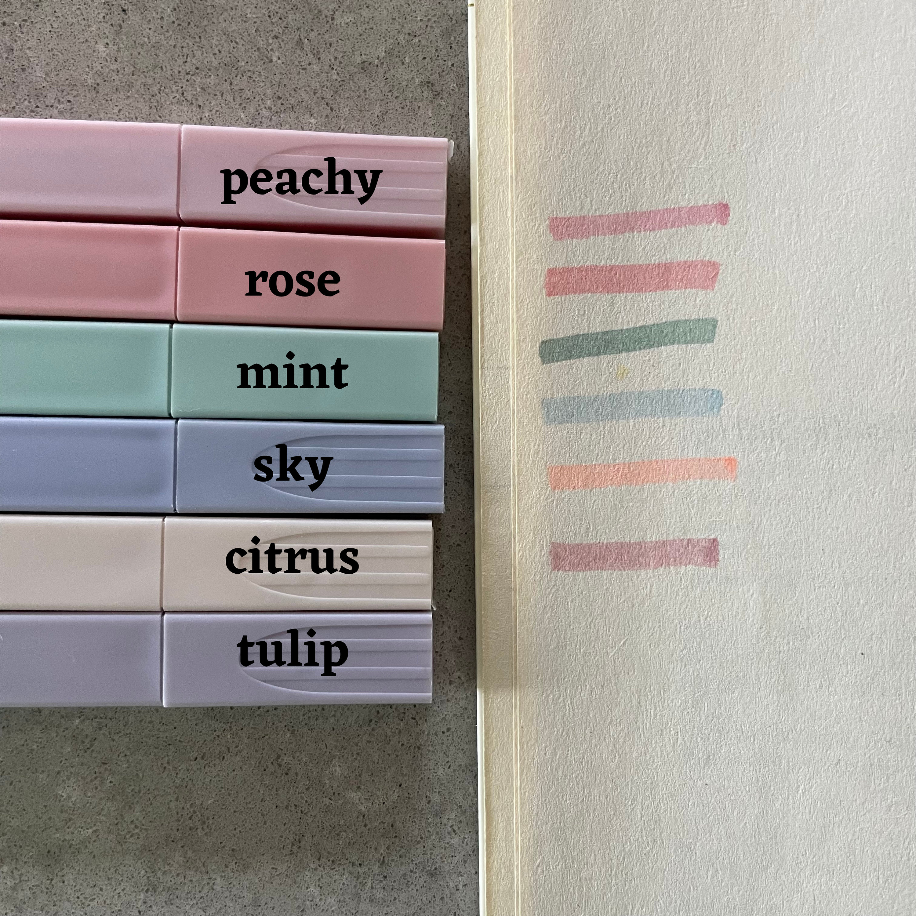 Book Annotation Kit Book Annotation Tabs, Pens, Highlighters, Free ...