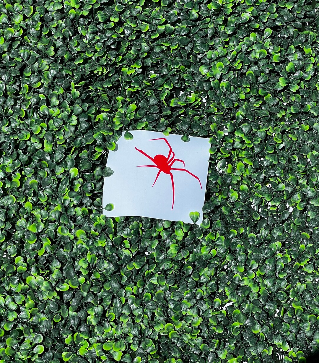 Spider Car Sticker Vinyl Decal/ Edgy Dark Creepy Trendy/cute Waterproof ...
