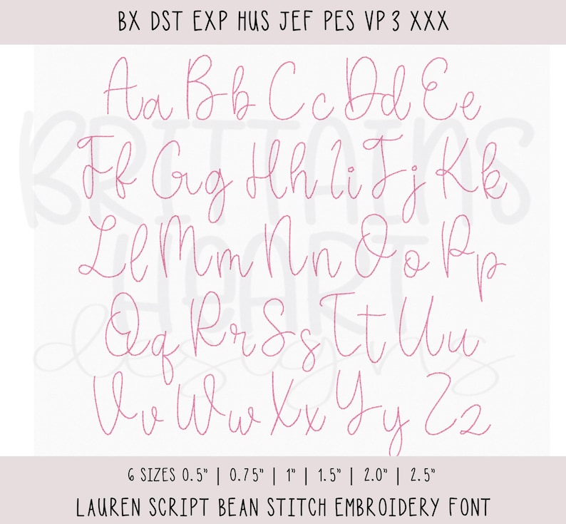Lauren Script Bean Stitch Cursive Script Embroidery Font Floss Vintage ...
