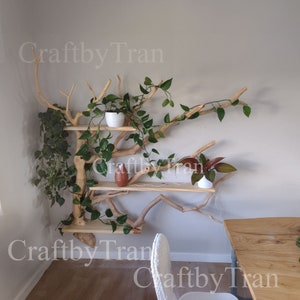Tree Branch Standing Corner Shelf Solid Wood Live Edge Floating Shelf ...