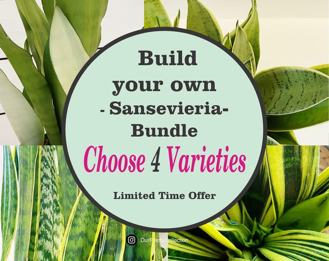 Plant Trellis Cebu Blue Pothos Plant Art Plant Decor Leaf Art 3d ...