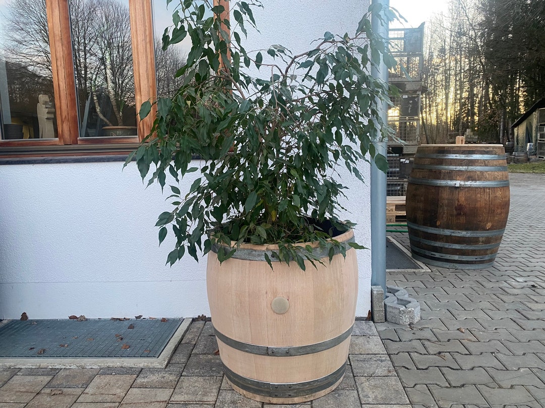 A 180-liter Wooden Barrel Planter. Palm Trees or Large Oleanders in a ...