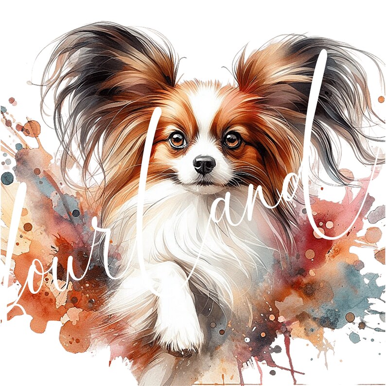 Papillon Clipart, 12 High Quality Jpgs, Digital Paper Crafting, Digital ...
