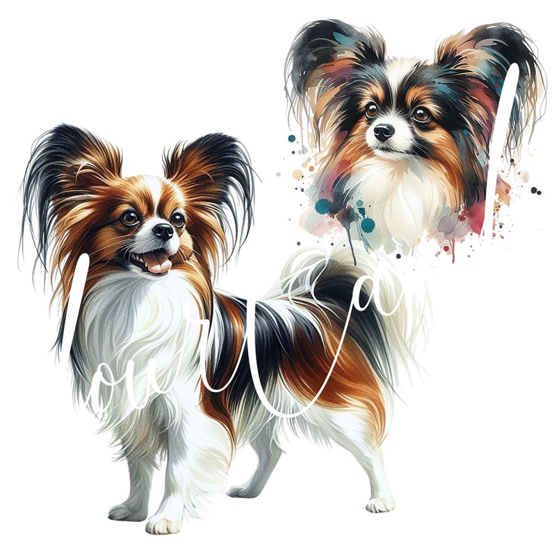Papillon Clipart, 12 High Quality Jpgs, Digital Paper Crafting, Digital ...