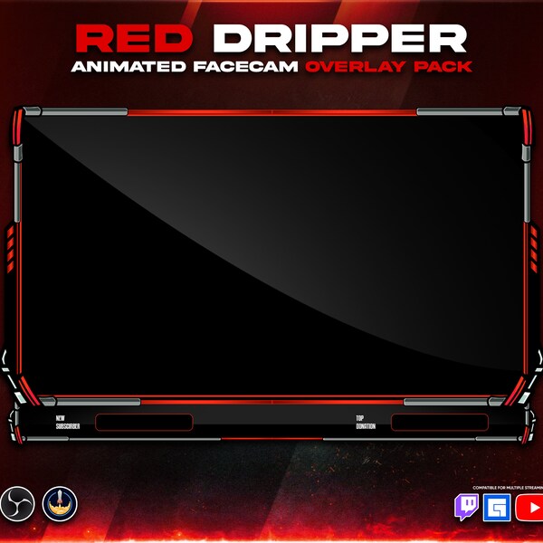 Animated Facecam Overlay - Etsy