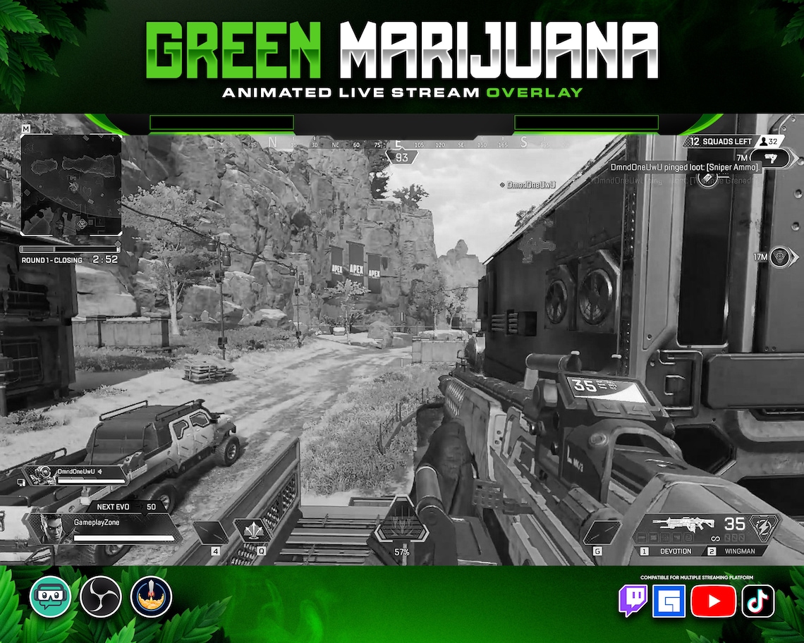 GREEN Animated Stream Overlay Pack Marijuana Twitch Overlay Pack Green ...