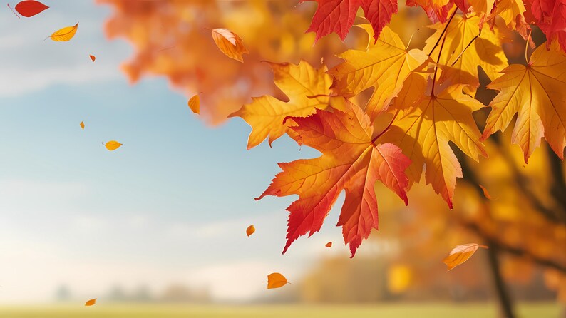 Fall Background Images, Autumn Backdrop Decor, Photoshop Overlay, Photo ...