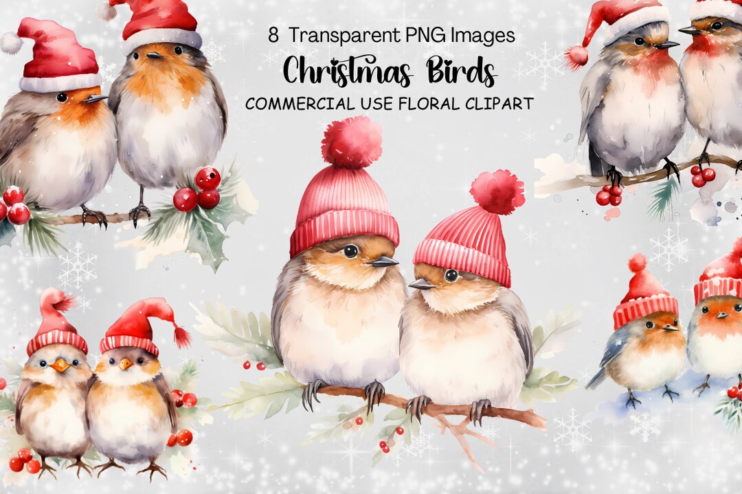 Whimsical Christmas Birds Clipart, Festive Bird Clipart , Song Birds ...