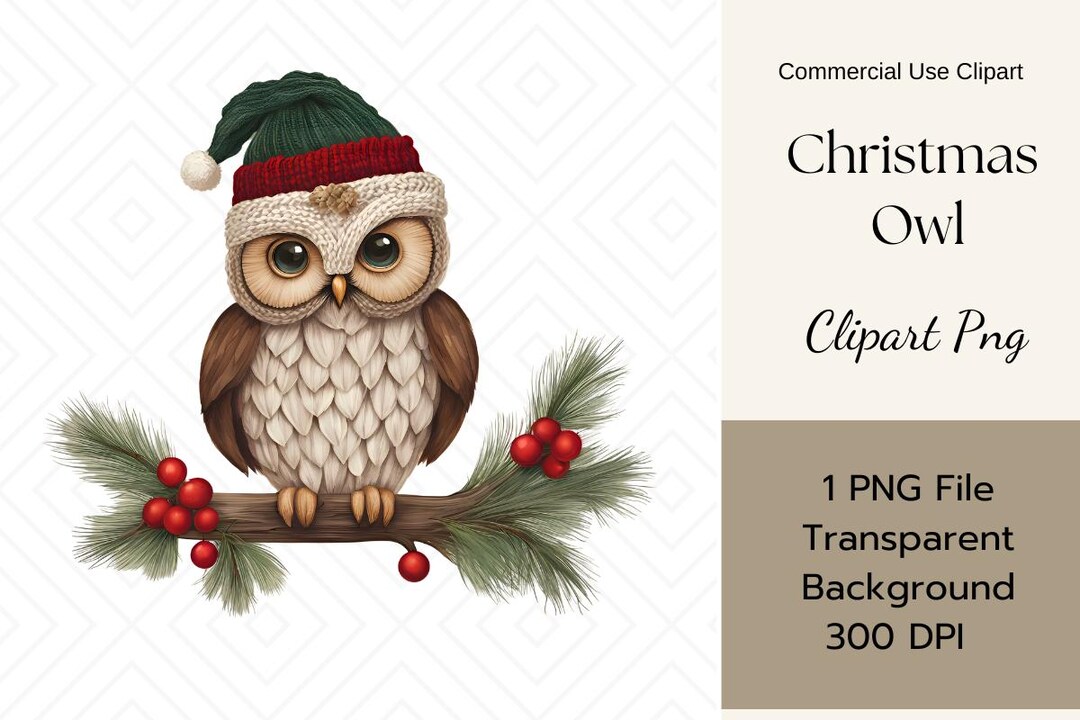 Christmas Owl Clipart PNG - Festive Holiday Owl With Santa Hat, 300 DPI ...