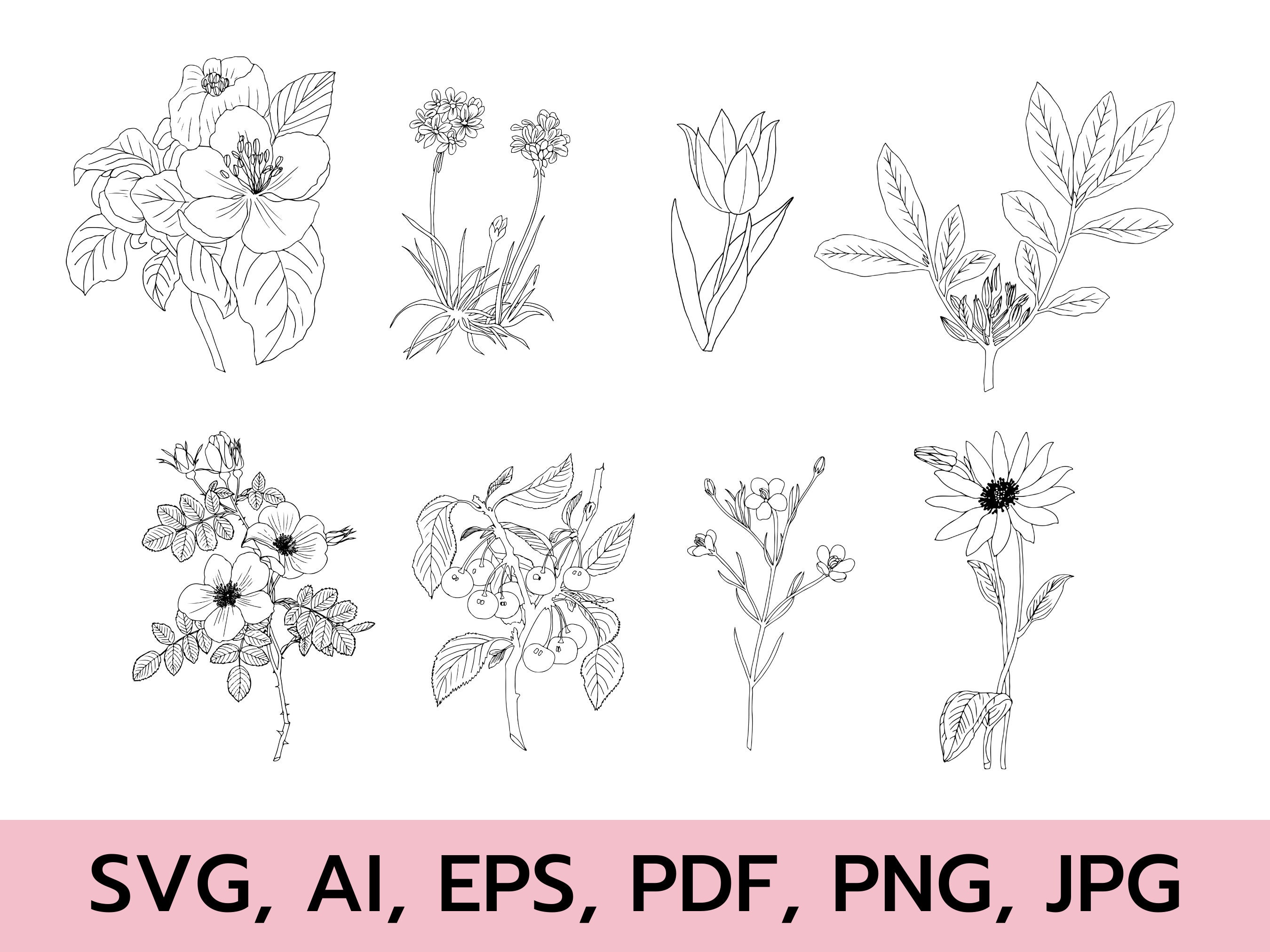 Vintage Clipart Bundle Floral Clipart Flower Line Art SVG - Etsy