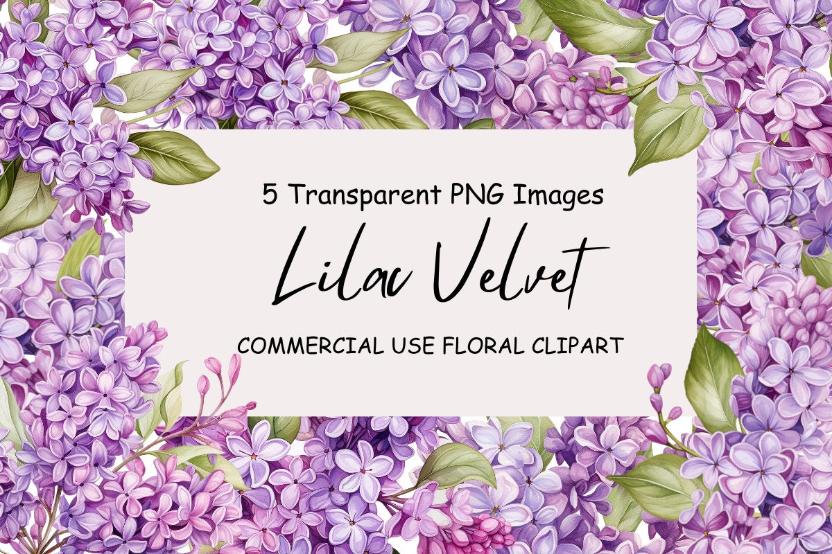 Lilac Velvet Floral Bouquet Clipart, Flower Png Files, Transparent ...