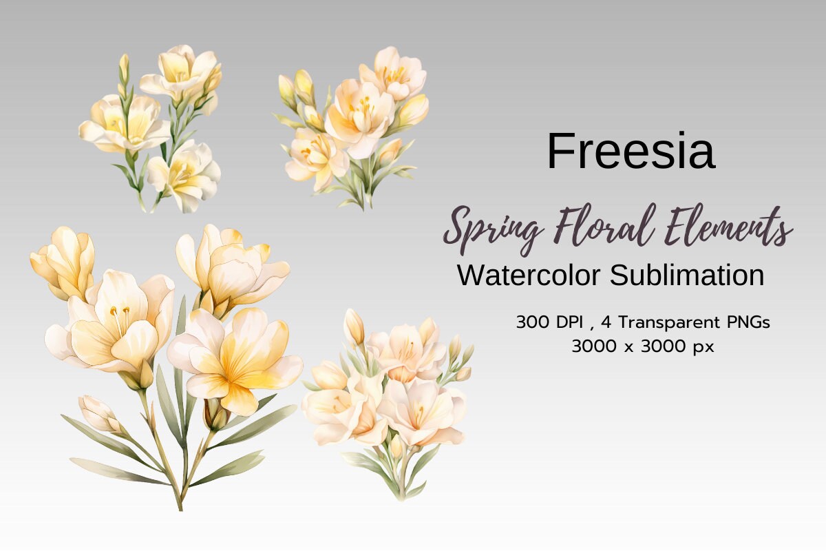 Spring Floral Elements Clipart Bundle , Transparent Floral Clipart ...