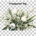 Hushed Ivory Breeze Flower Clipart, White Tulips Floral Clipart, Commercial Use, Flower Png ...