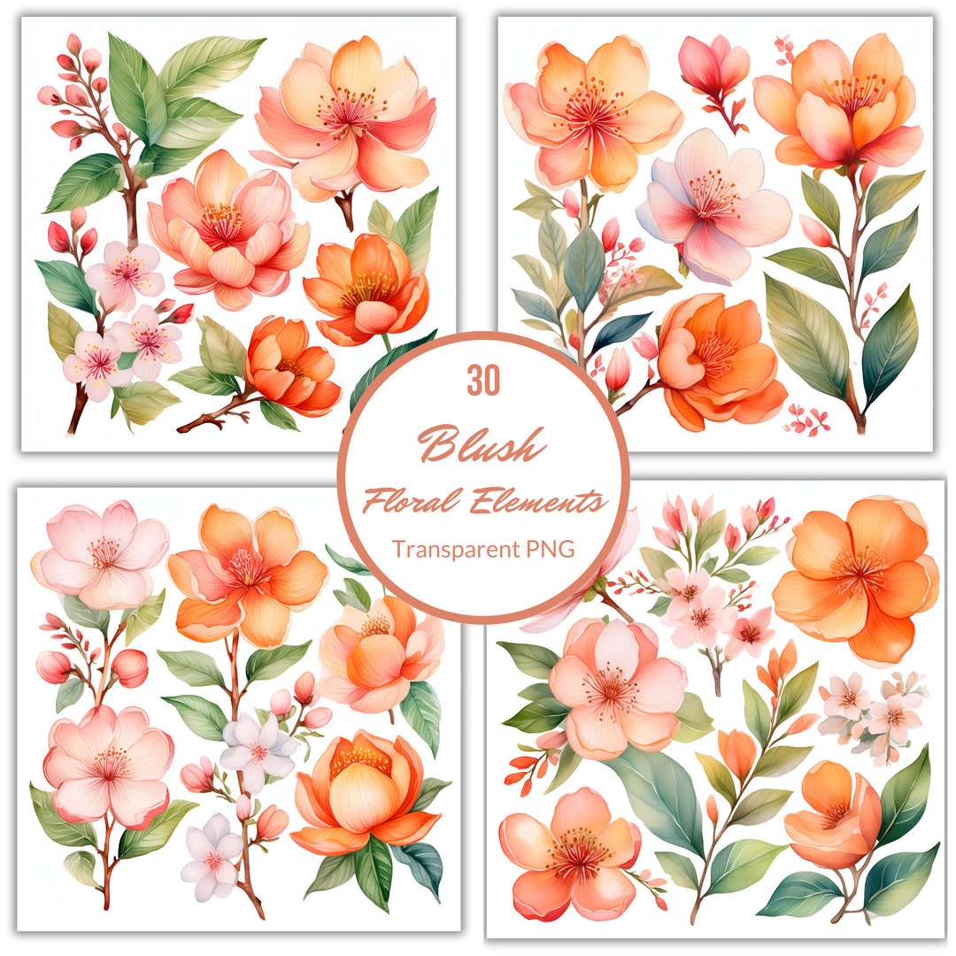 Blush Peach Floral Elements Clipart, Peach Flowers, Transparent Floral ...