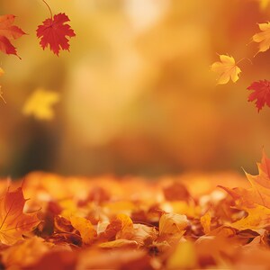 Fall Background Images, Autumn Backdrop Decor, Photoshop Overlay, Photo ...