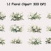 Hushed Ivory Breeze Flower Clipart, White Tulips Floral Clipart, Commercial Use, Flower Png ...