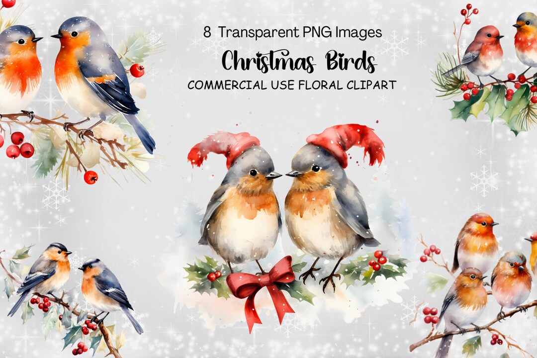 Christmas Birds Clipart, Christmas Clipart , Christmas Clipart PNG ...