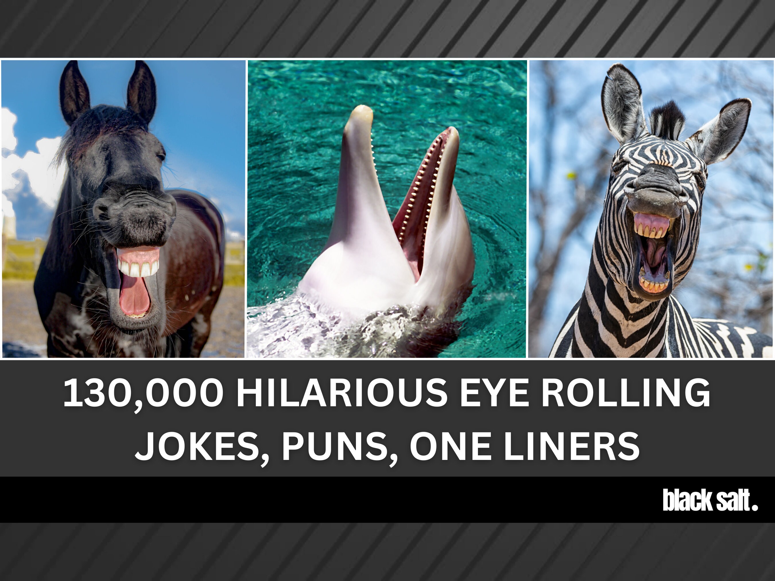 130,000+ Hilarious Funny Jokes, Puns, One Liners Excel Spreadsheet ...