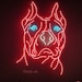 Pitbull Dog LED Neon Sign, Wall Art Light, Pit Bull Neon Decor, Custom ...
