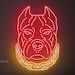 Pit Bull Dog Neon Light, American Pitbull Terrier Neon Art, Pet Room ...