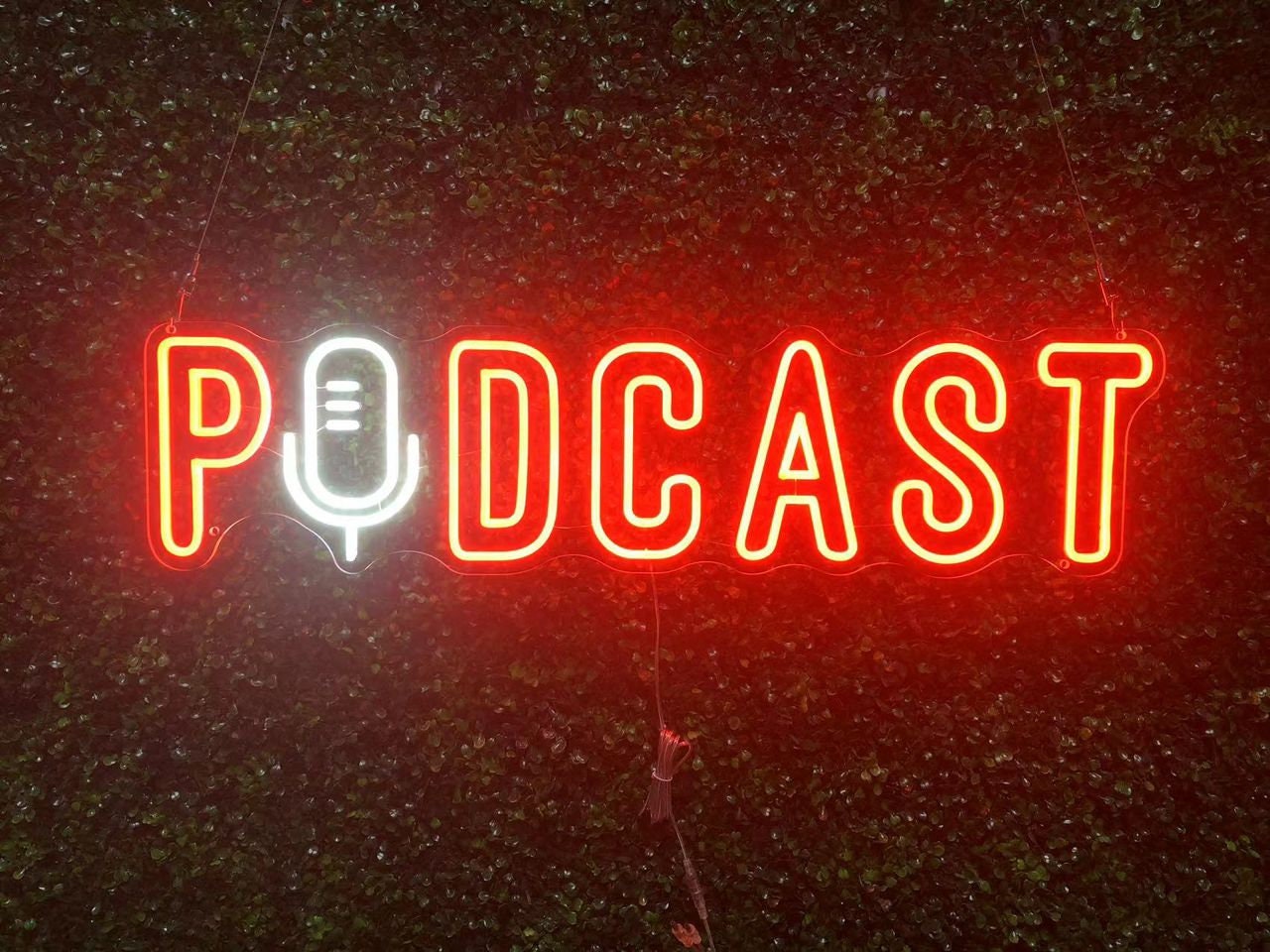 Podcast Neon Sign, LED Wall Decor for Home Studio, Unique Podcasting ...